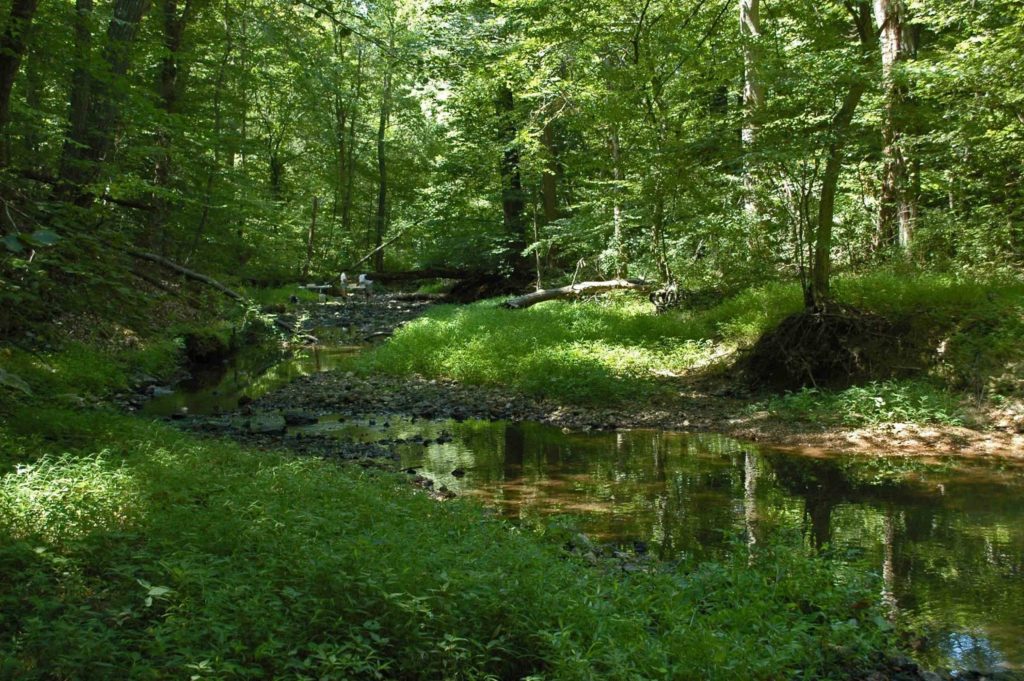 summer creek – Hamilton Township